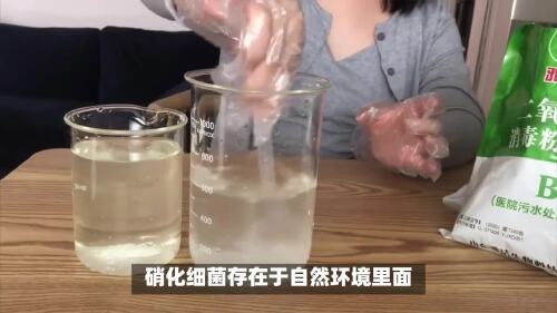 硝化细菌和净水剂可以同时用吗?硝化细菌有什么作用