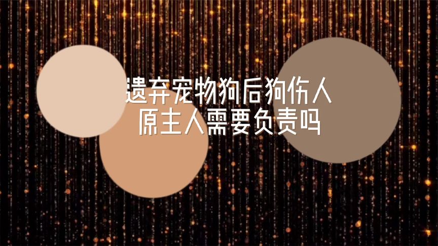 跟我学《民法典》——遗弃宠物狗后狗伤人原主人需要负责吗?