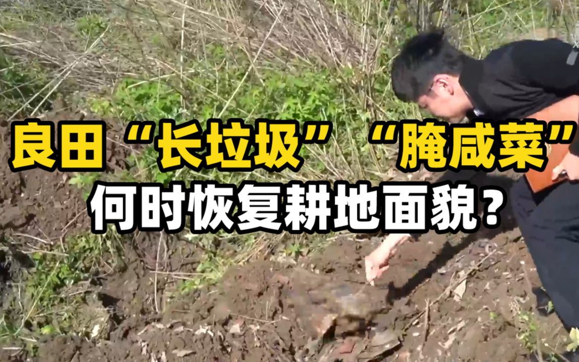 追踪侵占耕地投诉|浙江温岭:良田“长垃圾”“腌咸菜”,何时恢复耕地...