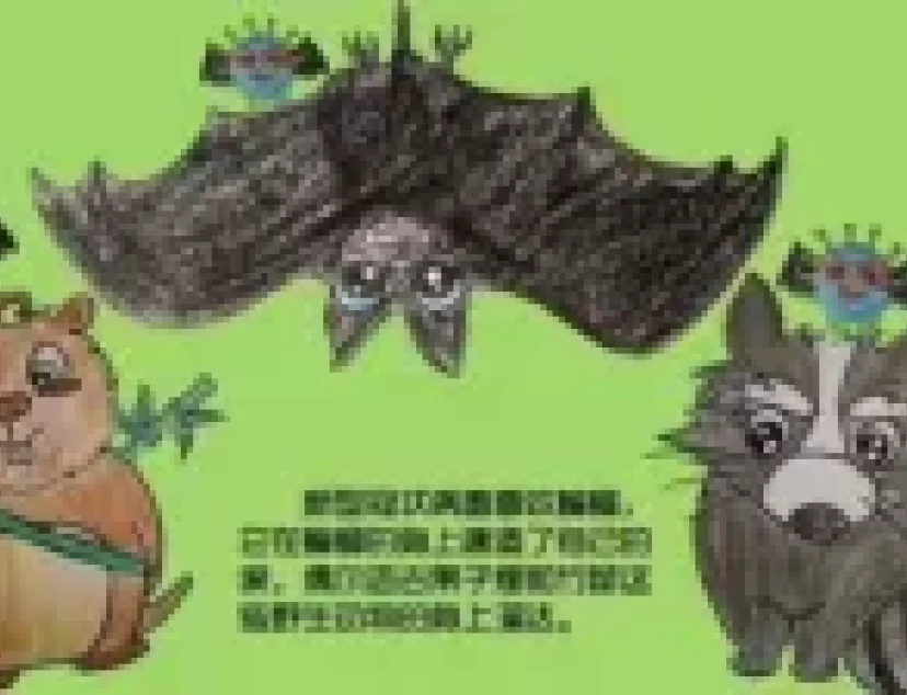 冠状病毒动漫_标清