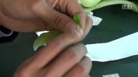 制作叶片下表皮细胞的临时装片_超清
