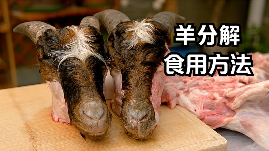 羊的身体结构及分解过程详解,家常食用方法介绍