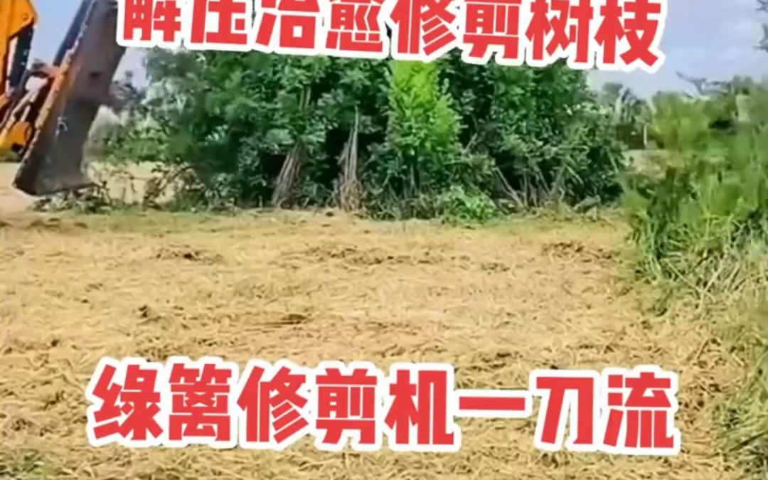 高速公路绿化修剪机道路园林灌木割草机 绿篱修剪车