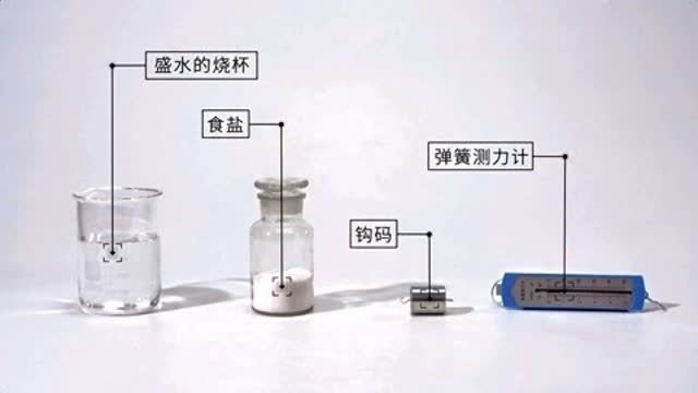 【物理】探究浮力大小跟哪些因素有关