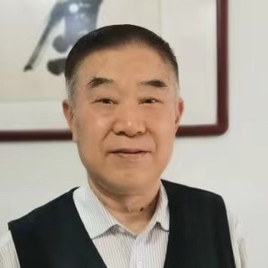 刘振起观点