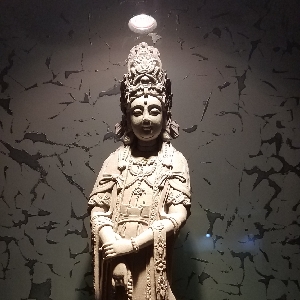 多功能浏览器 