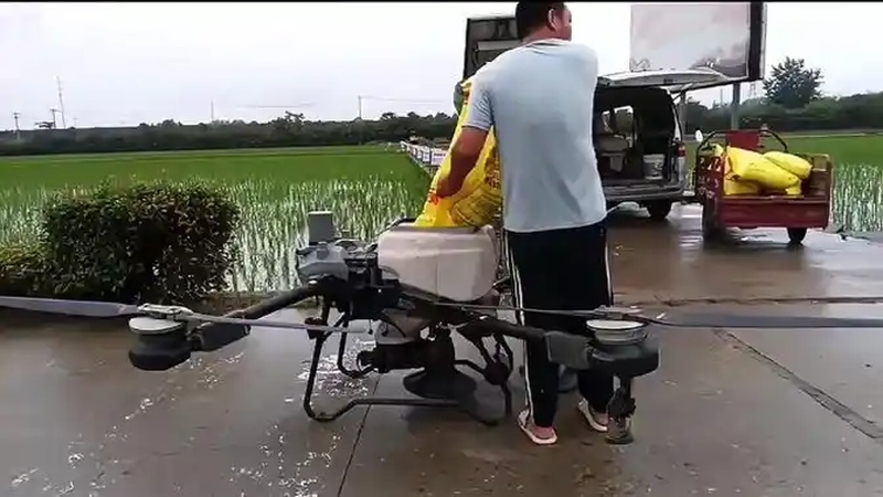 湖北中稻生产进入田间管理阶段