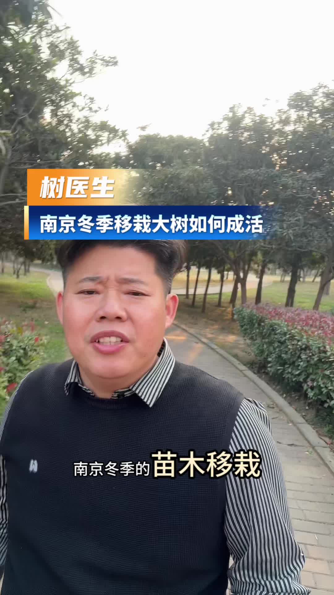 ...抖音小助手 #南京园林施工 #香樟#乌桕树 #园林绿化养护 #英森树医生