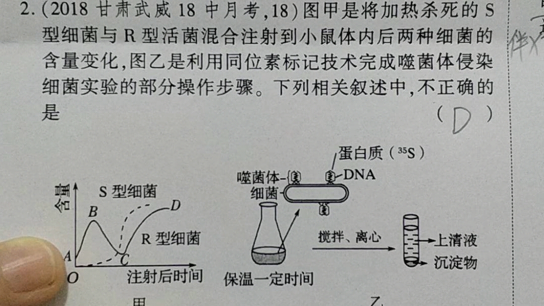 热点八,遗传的分子基础,遗传信息的传递和表达
