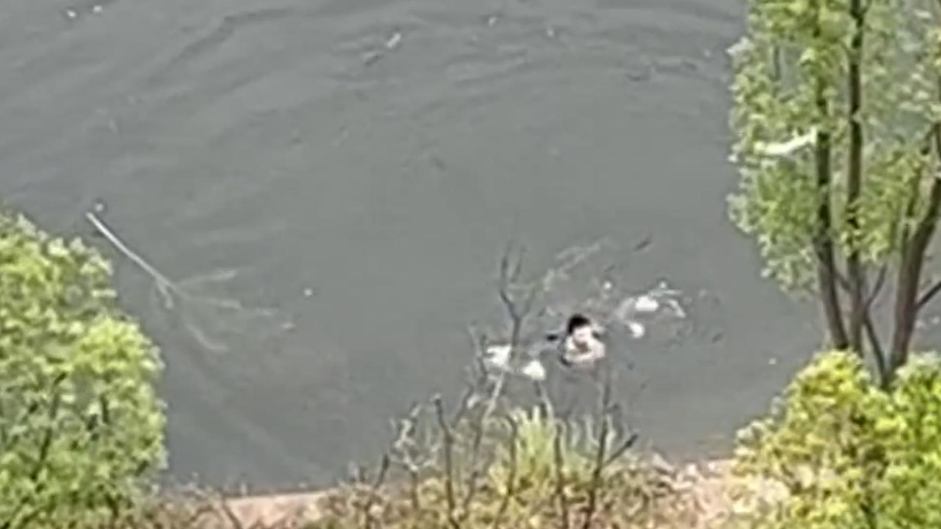 25岁辅警救人落水牺牲,生前最后一刻曝光,目击者:他喊我让开