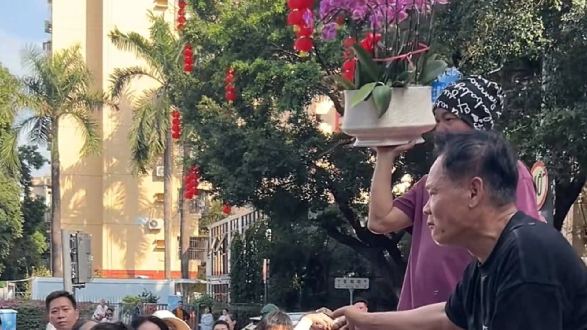 深圳花市现"反向拍卖",蝴蝶兰从250元喊到120元成交,店家回应