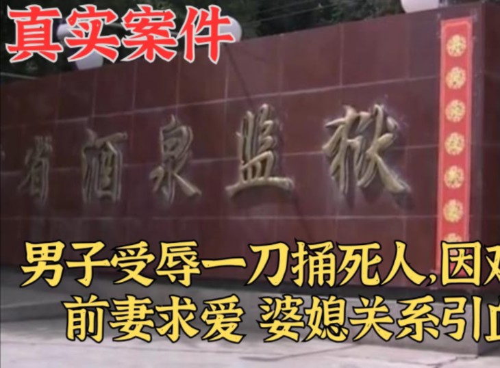 男子受辱一刀捅死人,因对方向前妻求爱,婆媳关系引血案|真实案件