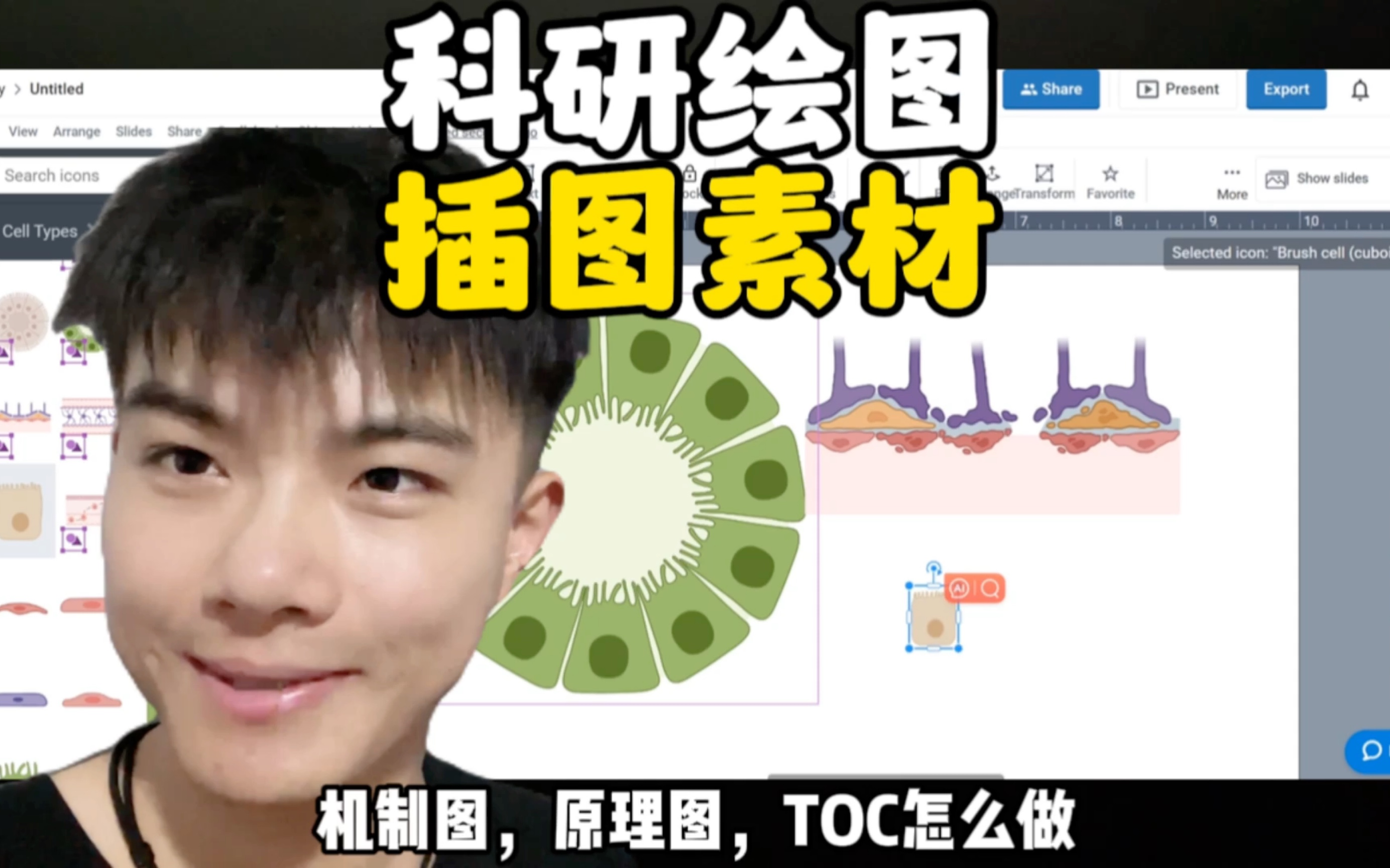...宝藏BioRender,插图素材高清矢量一应俱全#办公技巧#sci #科研绘图