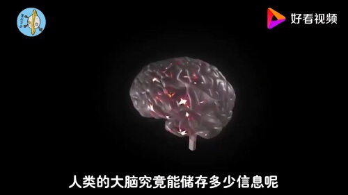 人脑相当于多少G电脑内存?用白鼠测试数据,原来一直低估了自己