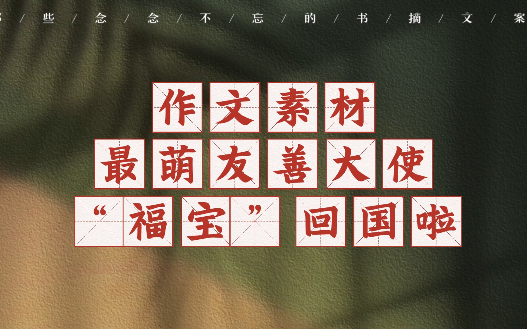 最萌友善大使“福宝”回国啦【作文热点素材|学习打卡】