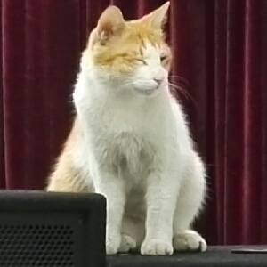 SFWZ 