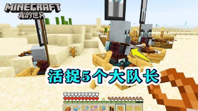我的世界251:活捉大队长集齐5个,就可以召唤5级劫掠吗