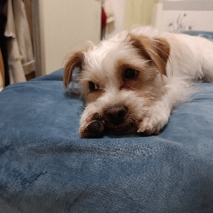 2021的我来这里了 