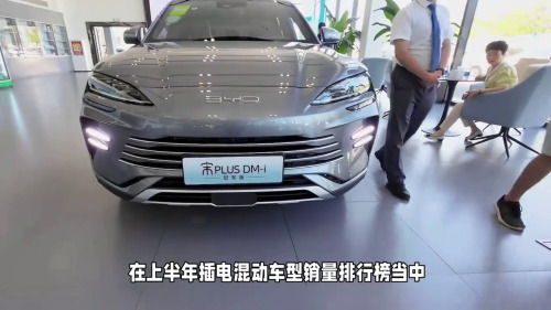 上半年插电混动车型销量排行榜:宋PLUS DM-i第1