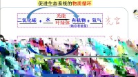 完成 动物能促进生态系统的物质循环 管晓娟