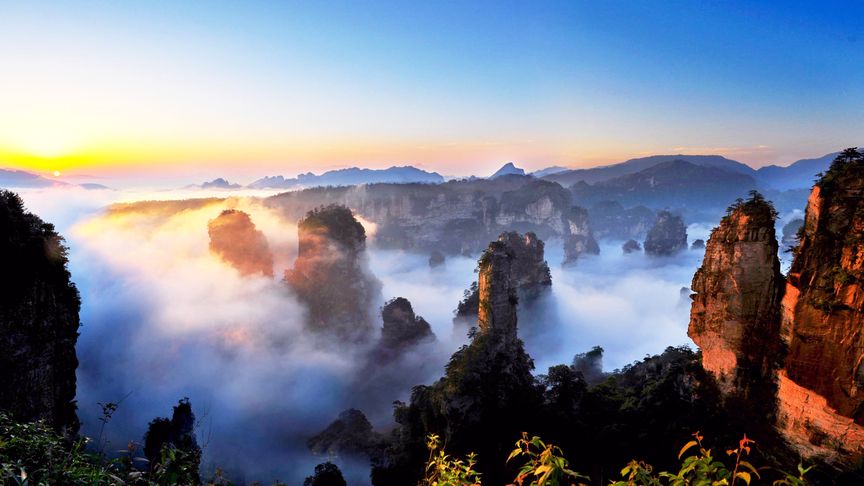 旅游避坑攻略|去张家界国家森林公园旅游要注意哪些坑,你知道吗
