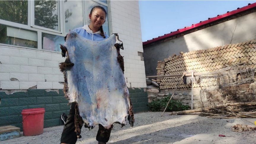 羊皮子千万别扔,看看新疆姑娘怎么变废为宝,大有用处