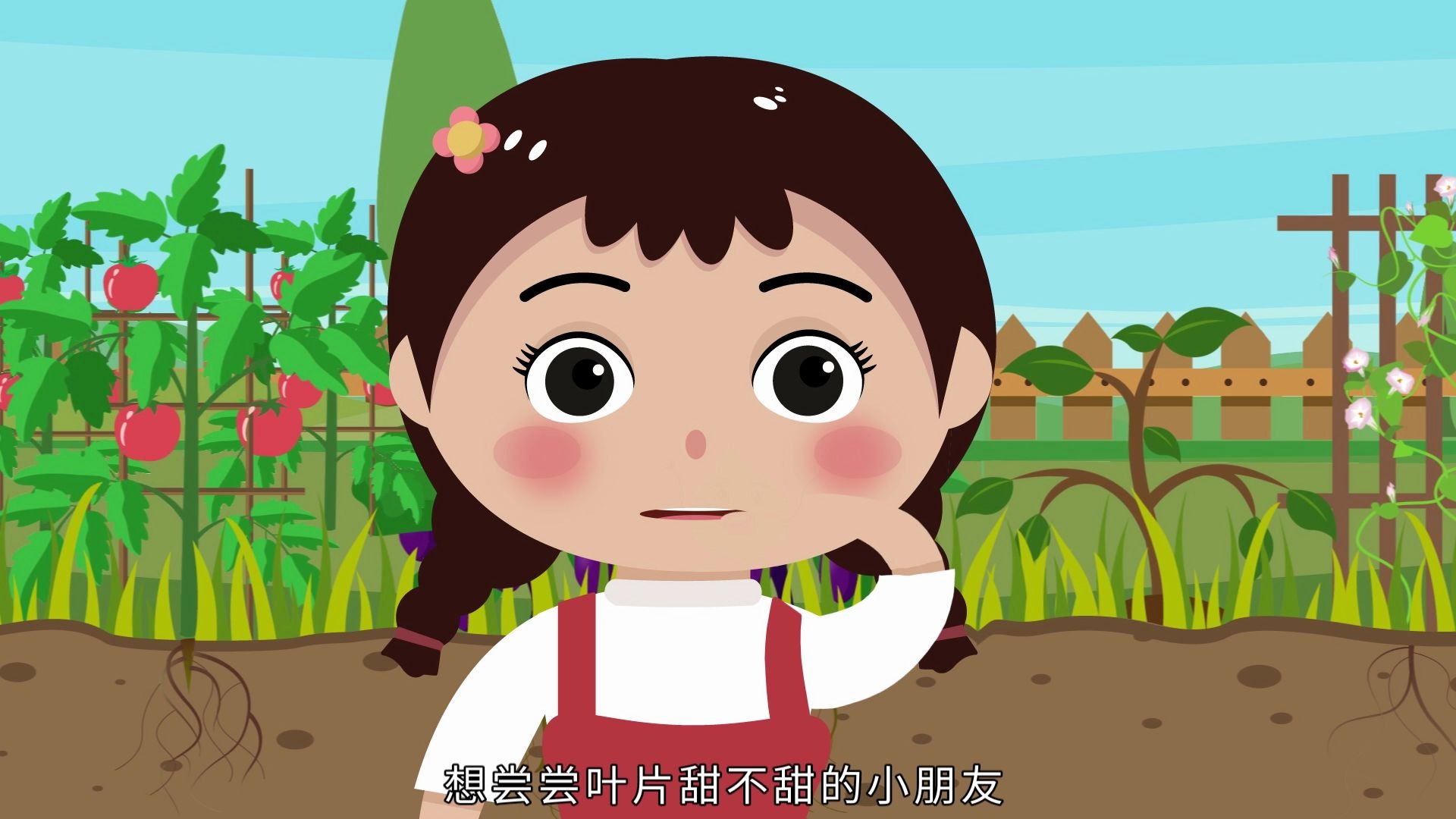 【科学嬉游记】植物的主要器官有哪些——怎么养好一盆月季花