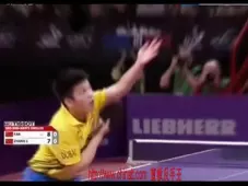张继科vs樊振东精彩球总集-2013年巴黎世乒赛