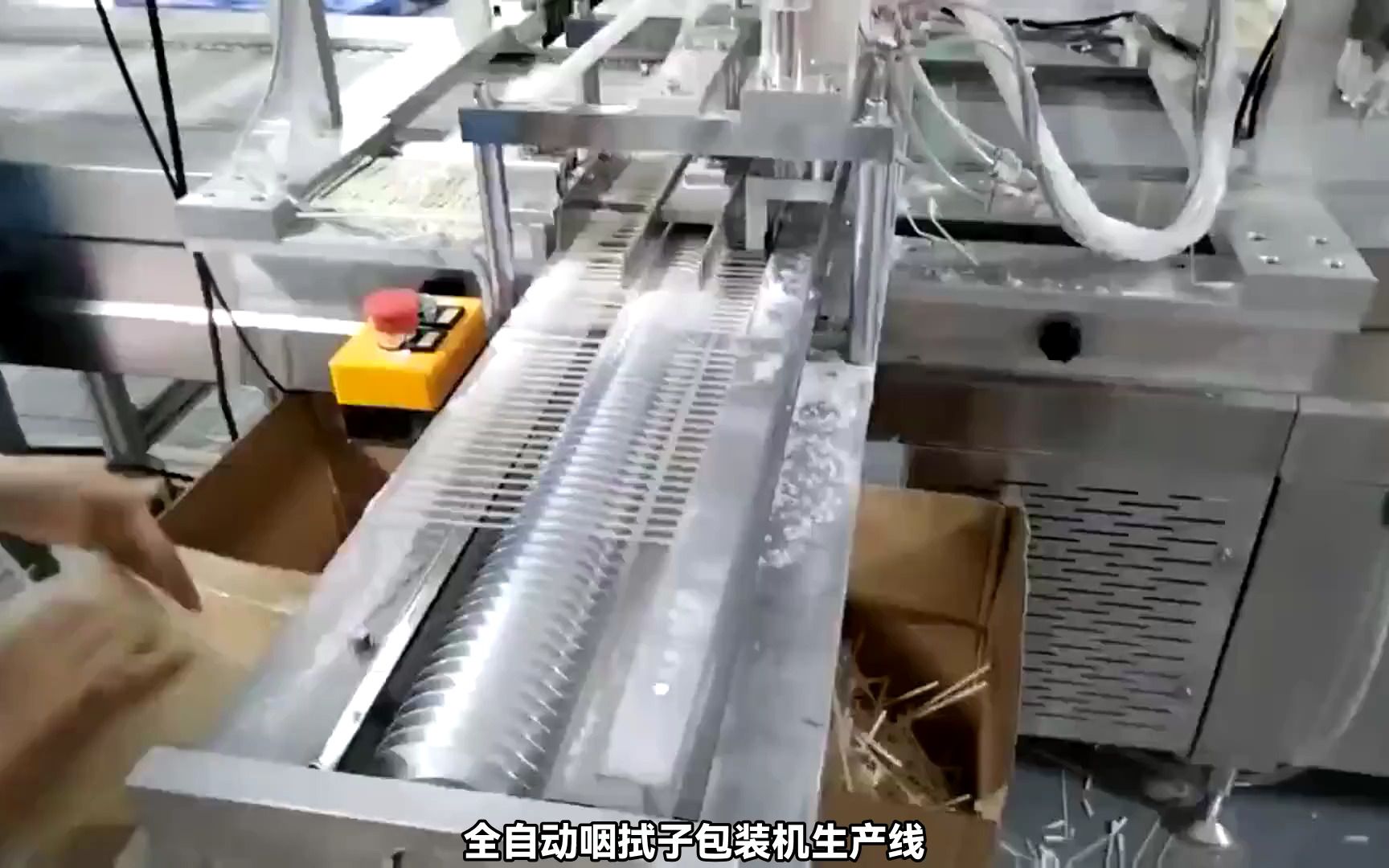 全自动咽拭子包装机生产线