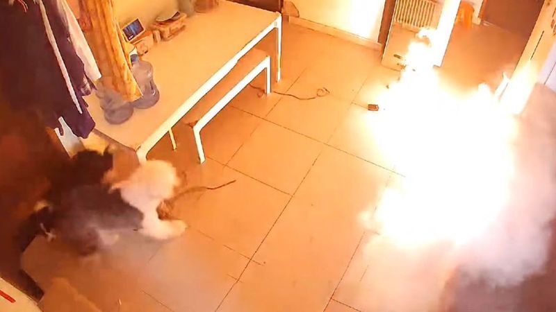 狗子啃咬充电宝致爆炸起火监控拍下恐怖一幕