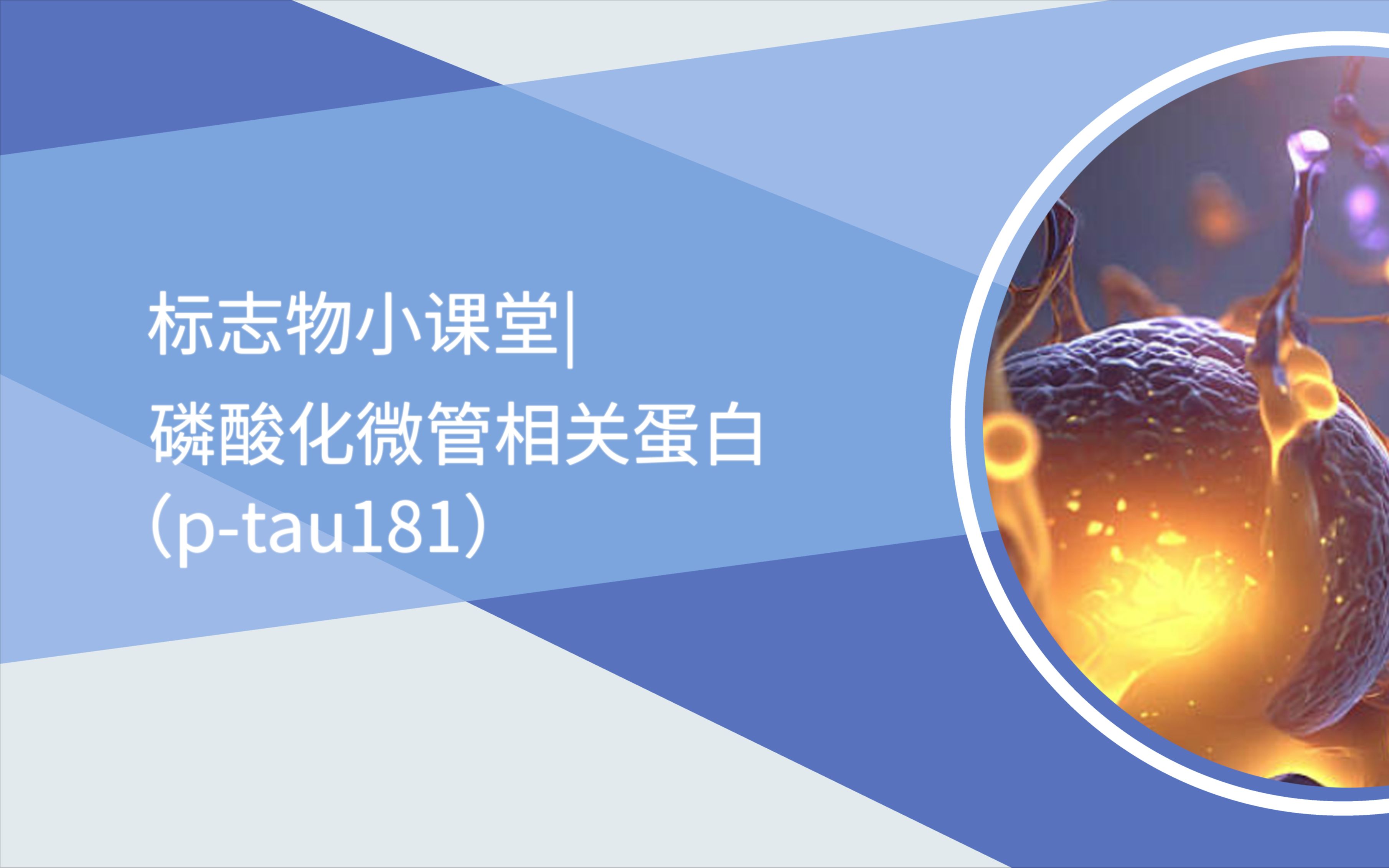 标志物小课堂|磷酸化微管相关蛋白(p-tau181)