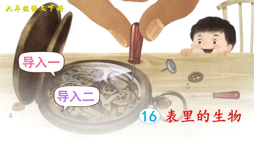 六年级语文下册课文16《表里的生物》教学PTT课件设计