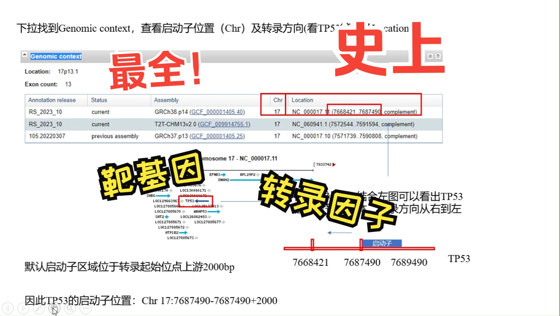 史上最全靶基因预测转录因子