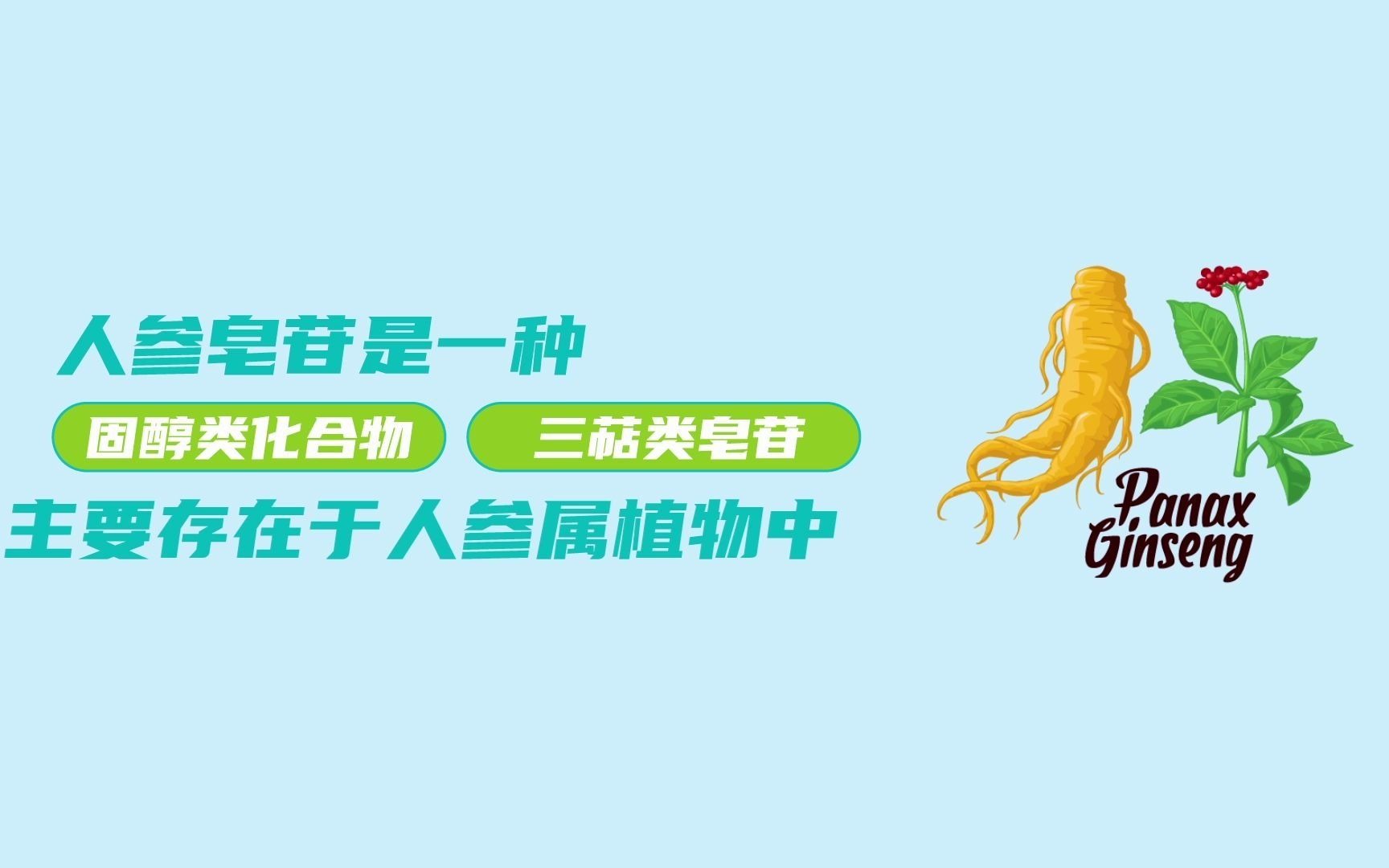 什么是人参皂苷?人参和人参皂苷有什么区别?