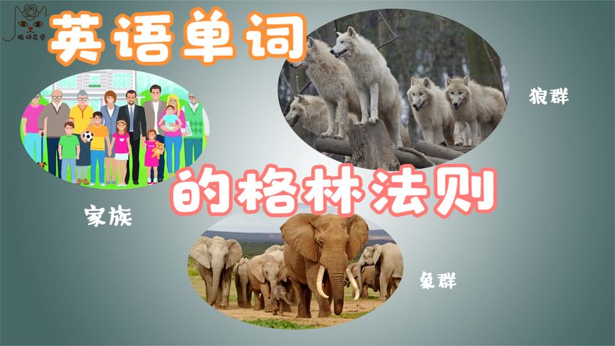 喵讲英语,英语格林法则的讲解,了解了法则,记单词就是这么简单