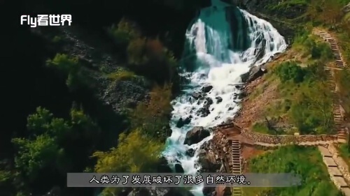 全球仅存的珍稀动物,特种兵守护下的繁衍奇迹
