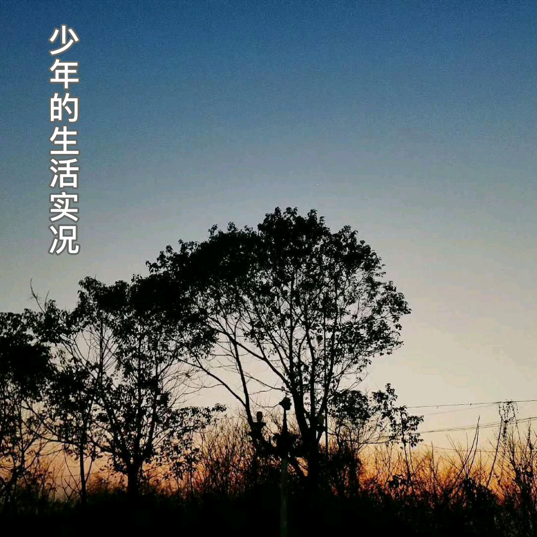 16岁高中生H.X.Y第一首原创说唱歌曲《少年的生活实况》