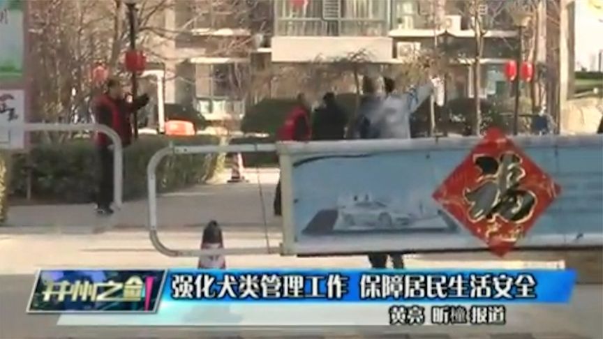 太原市公安局联合多部门,强化犬类管理工作,保障居民生活安全