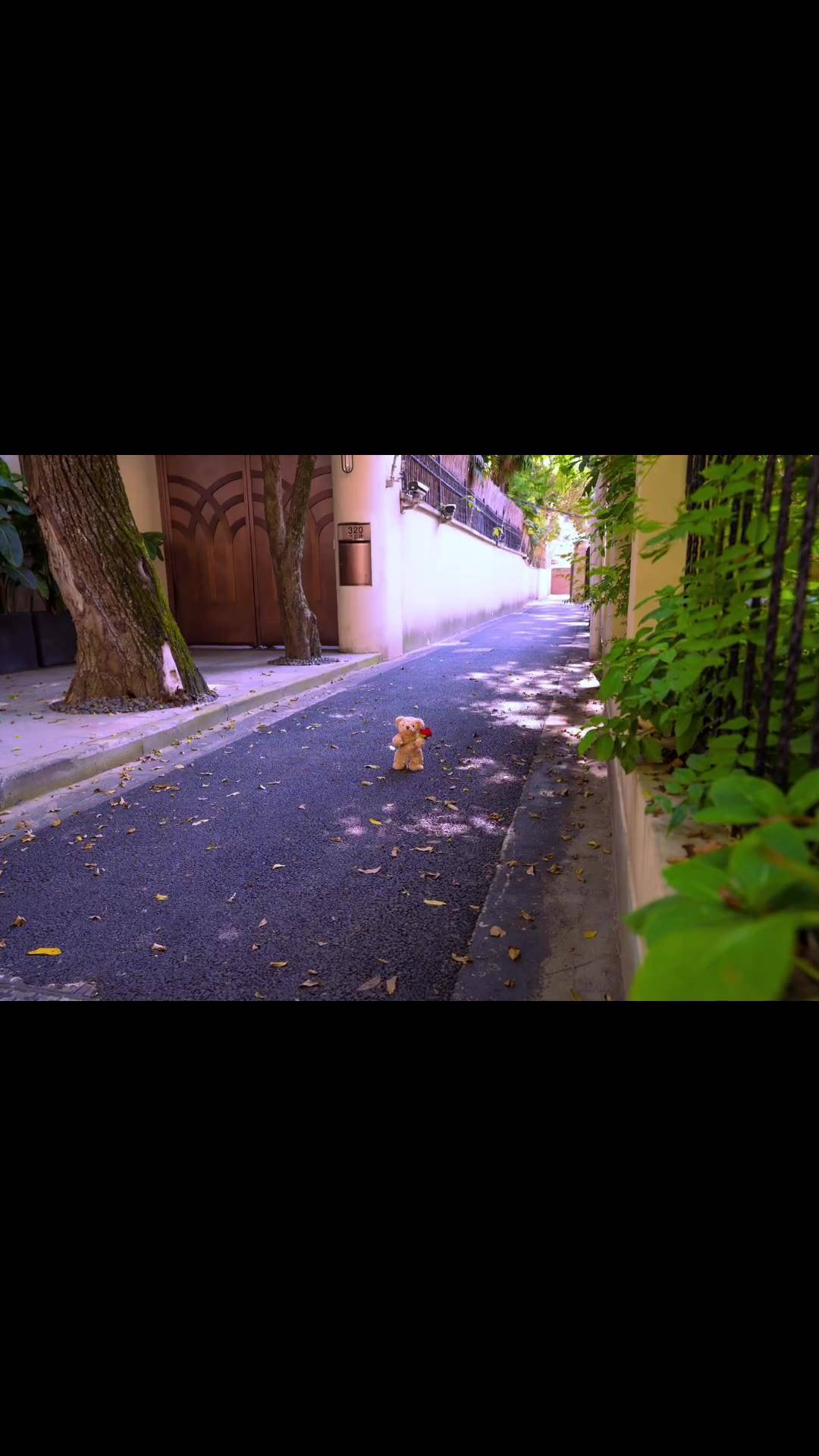 创意定格动画-跟着小熊一起感受七夕浪漫爱情