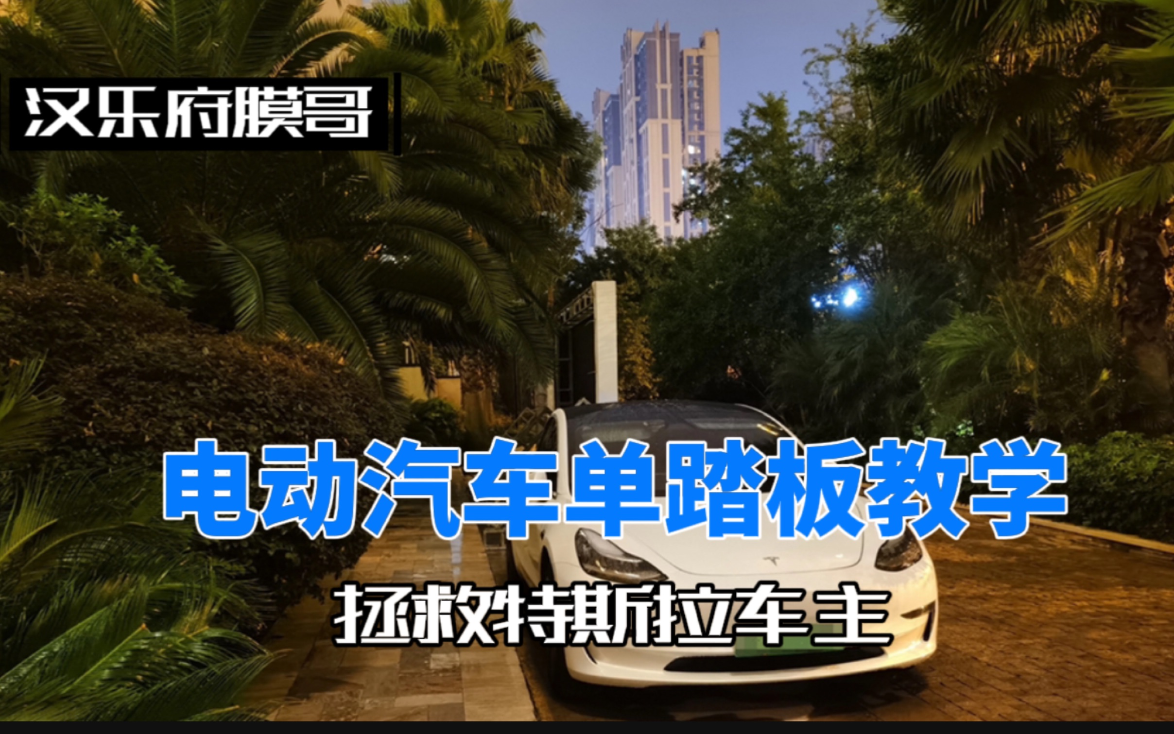 特斯拉车主必看!全网最详细单踏板模式教学助你成为单踏板之王!(汉ev...