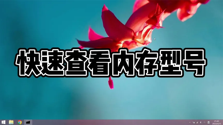 怎样快速查看内存型号