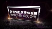 朗誉20周年,暨国际设计大师需找“苏州好别墅”宣传片