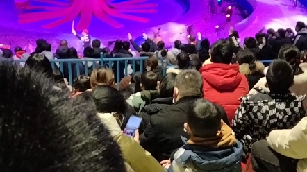 昨天拍摄南通森林野生动物园现场拍摄马戏团表演(2-4) 现在观看人很多