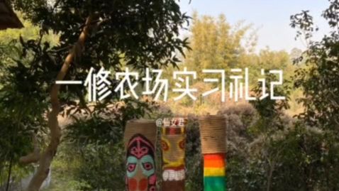 实习生发过来的实习总结视频