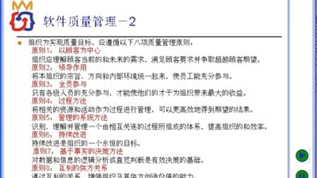 软件质量、可靠性及性能评价