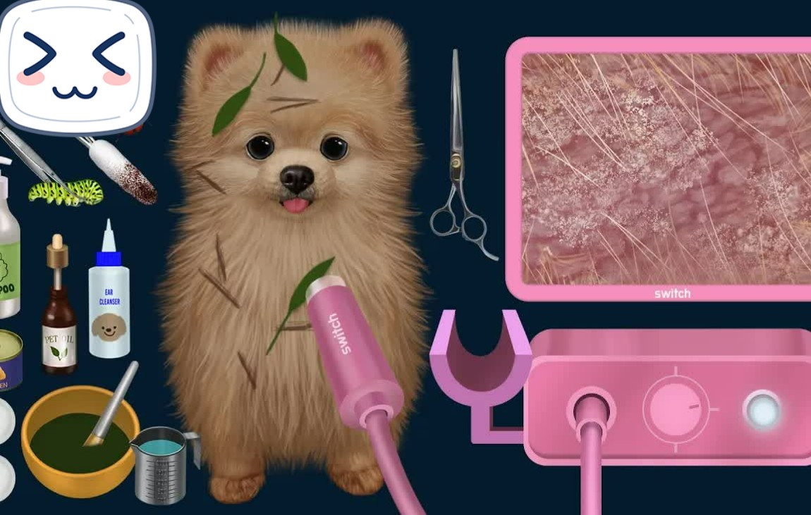 狗狗SPA耳朵清洁按摩,定格动画