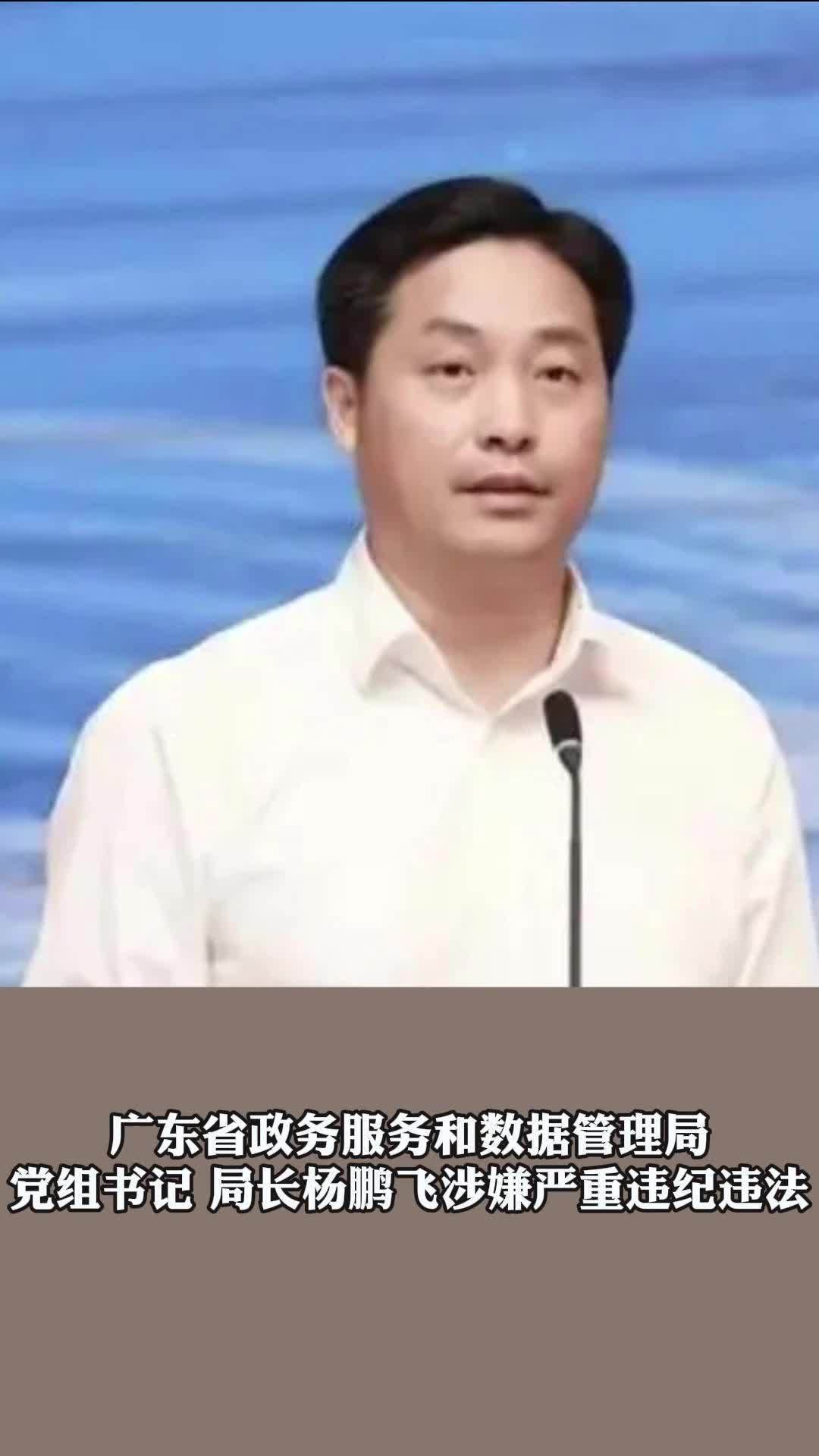 广东省政务服务和数据管理局党组书记局长杨鹏飞涉嫌严重违纪违法