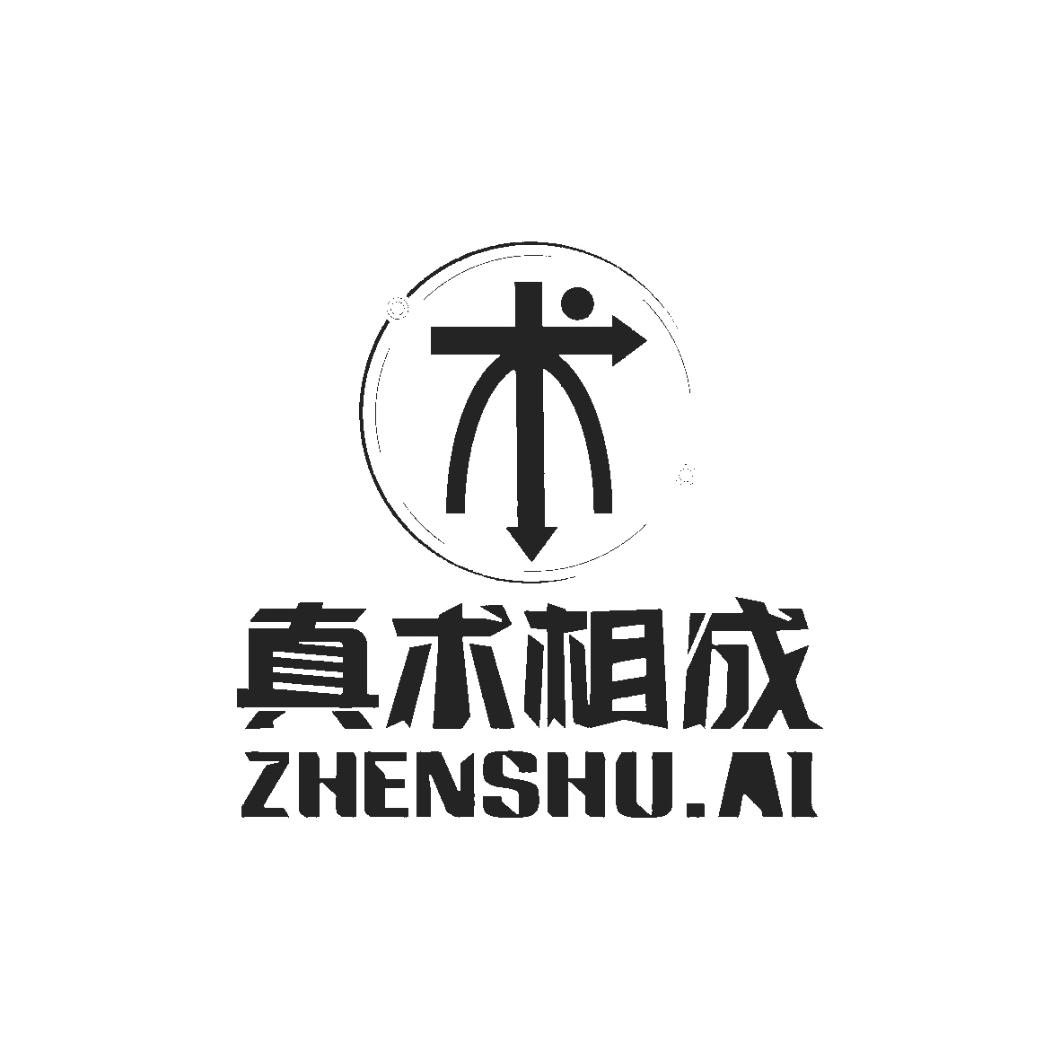 真术相成科技 