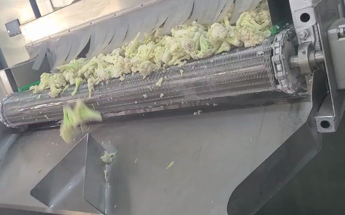 菜花速冻生产线 速冻西蓝花流水线 流态化速冻机防止物料粘连 流化床...