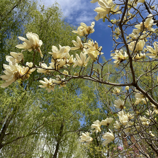 追寻真理的先知 